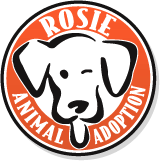 Dogs For Adoption - Give Love, Save Lives – Rosie Animal Adoption